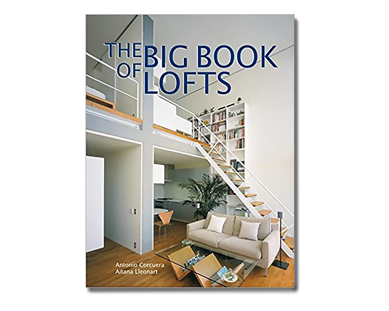 The Big Book of Lofts: Builder's Book, Inc.Bookstore
