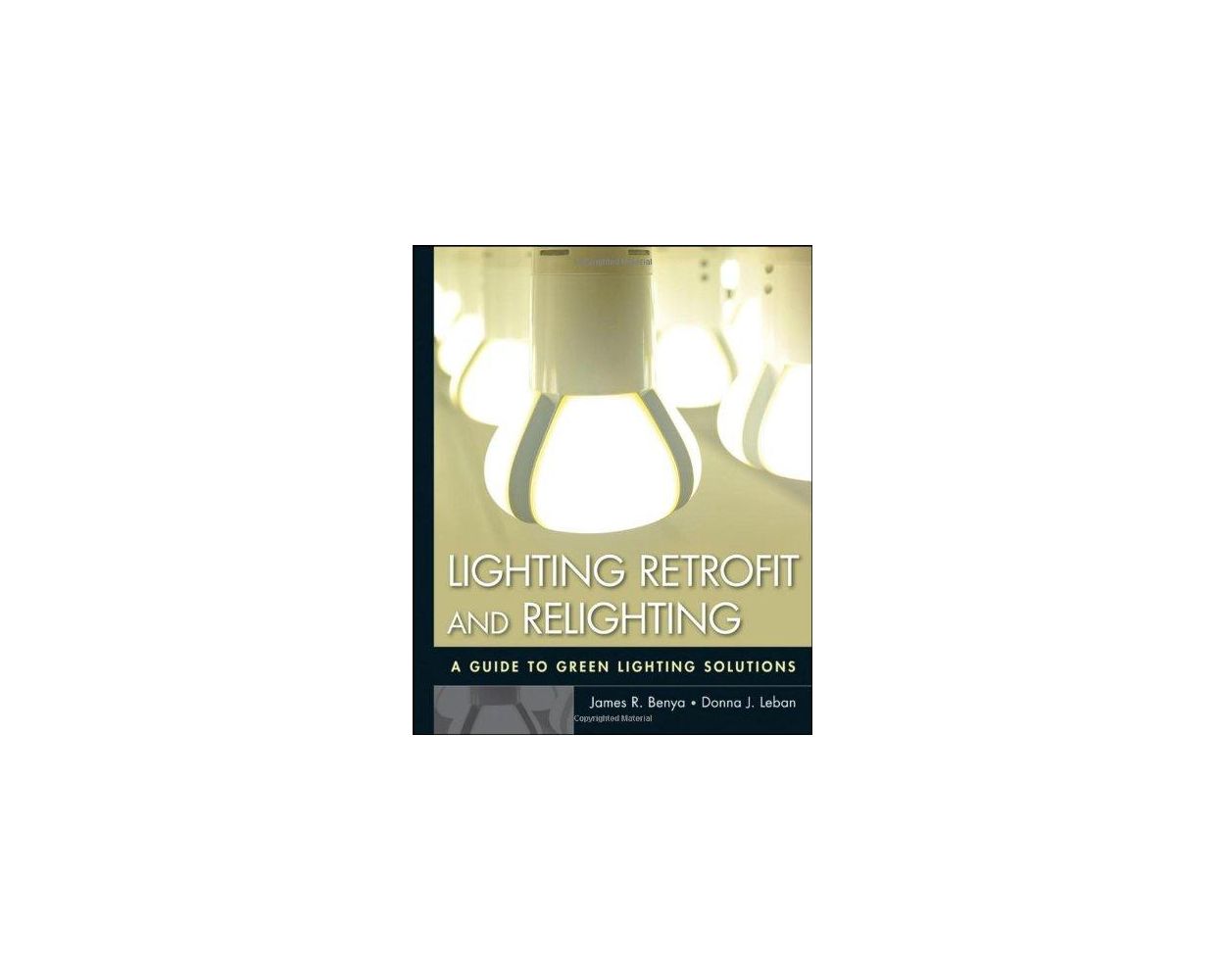Lighting Retrofit and Relighting: A Guide to Energy Efficient Lighting ...