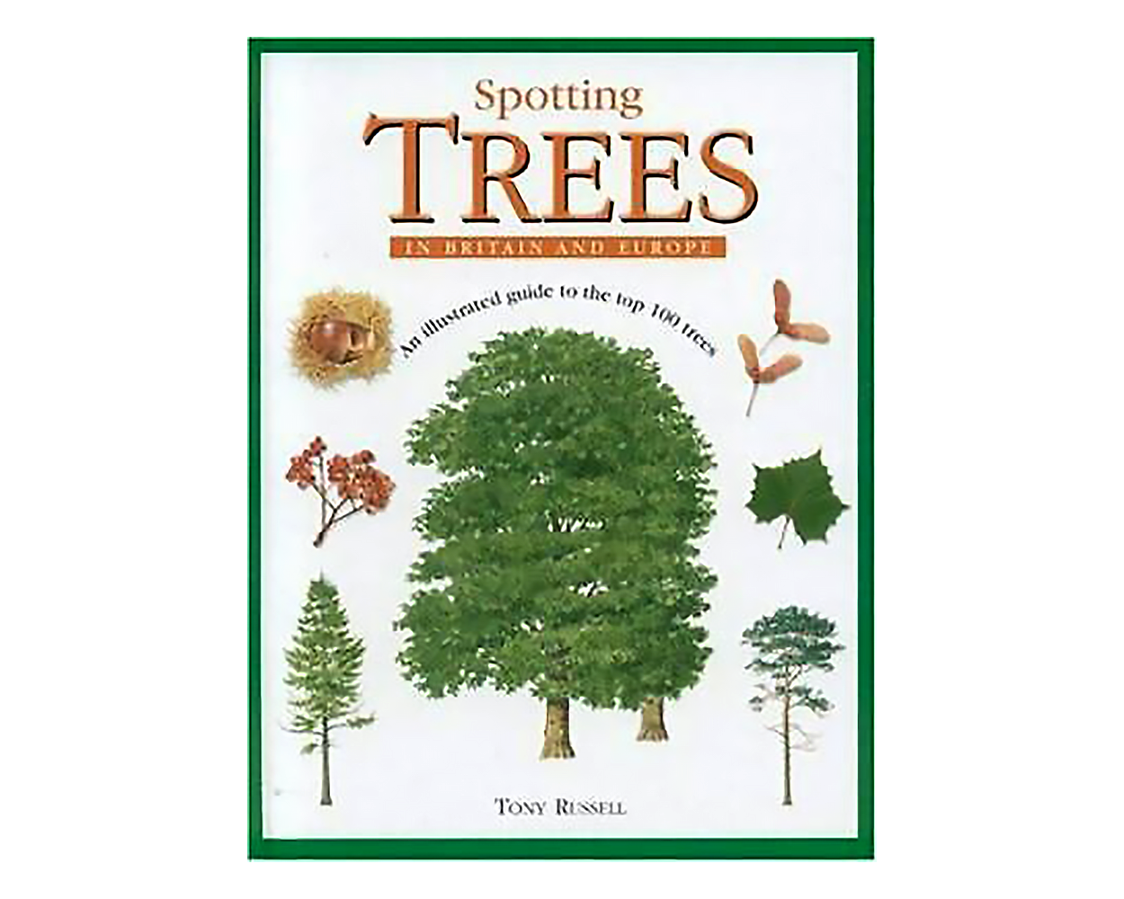 Spotting Trees in Britain & Europe: An Illustrated Guide to the Top 100 ...