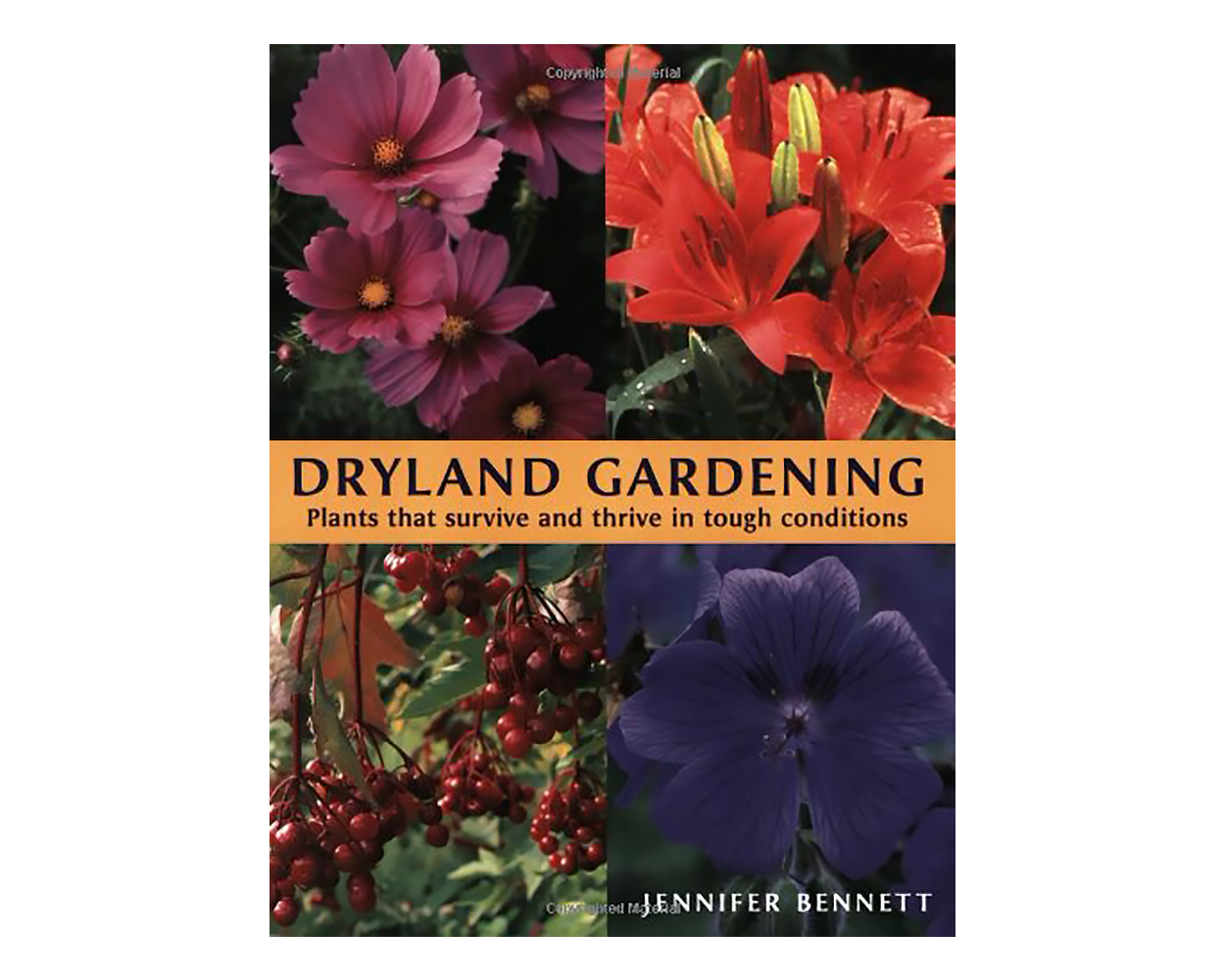 Dryland Gardening: Plants that Survive and Thrive in Tough Conditions ...
