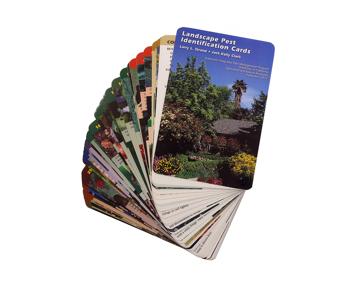 Landscape Pest Identification Cards