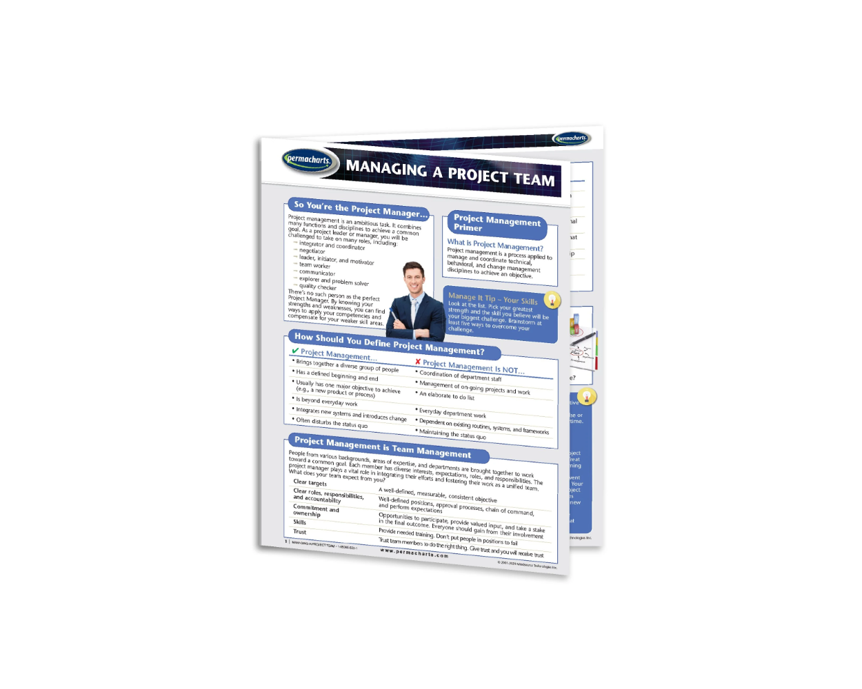 Buy Managing a Project Team - Business Productivity Quick Reference ...