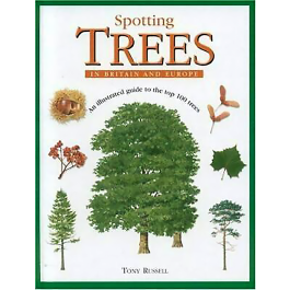 Spotting Trees in Britain & Europe: An Illustrated Guide to the Top 100 ...