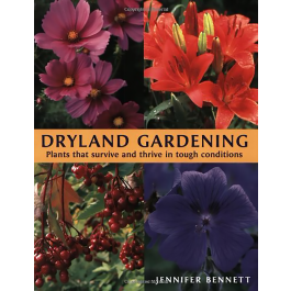 Dryland Gardening: Plants that Survive and Thrive in Tough Conditions ...