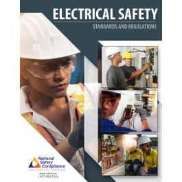 Buy Electrical Safety : Standard and Regulations | Buildersbook.com
