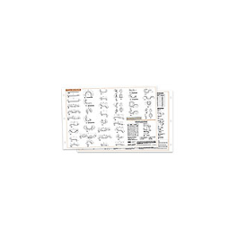 CRSI Desktop Detailing Chart